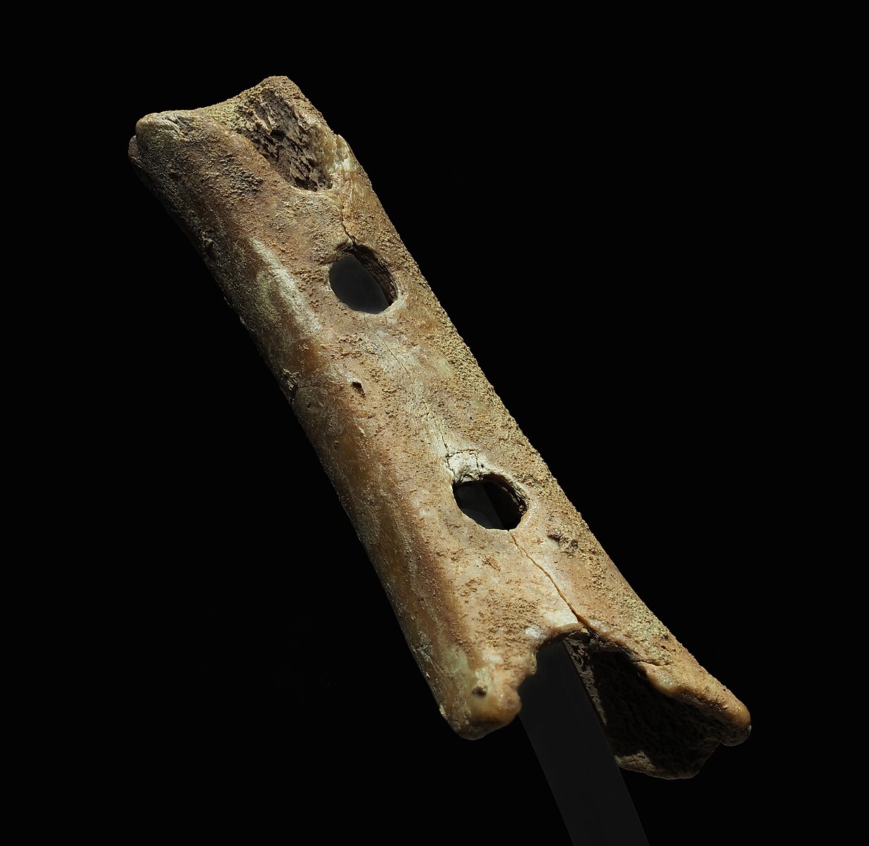 Echoes from the Ice Age: Hear the World’s Oldest Flute, Possibly ...